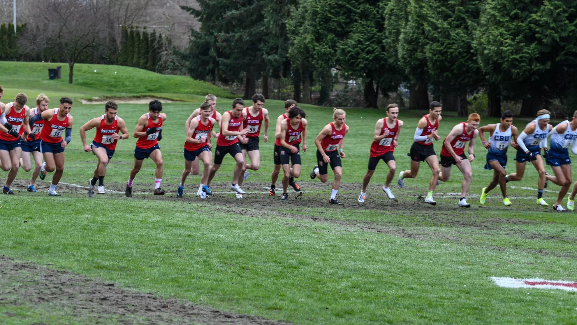 Cross Country Earns USTFCCA All-Academic Award - Seattle University ...