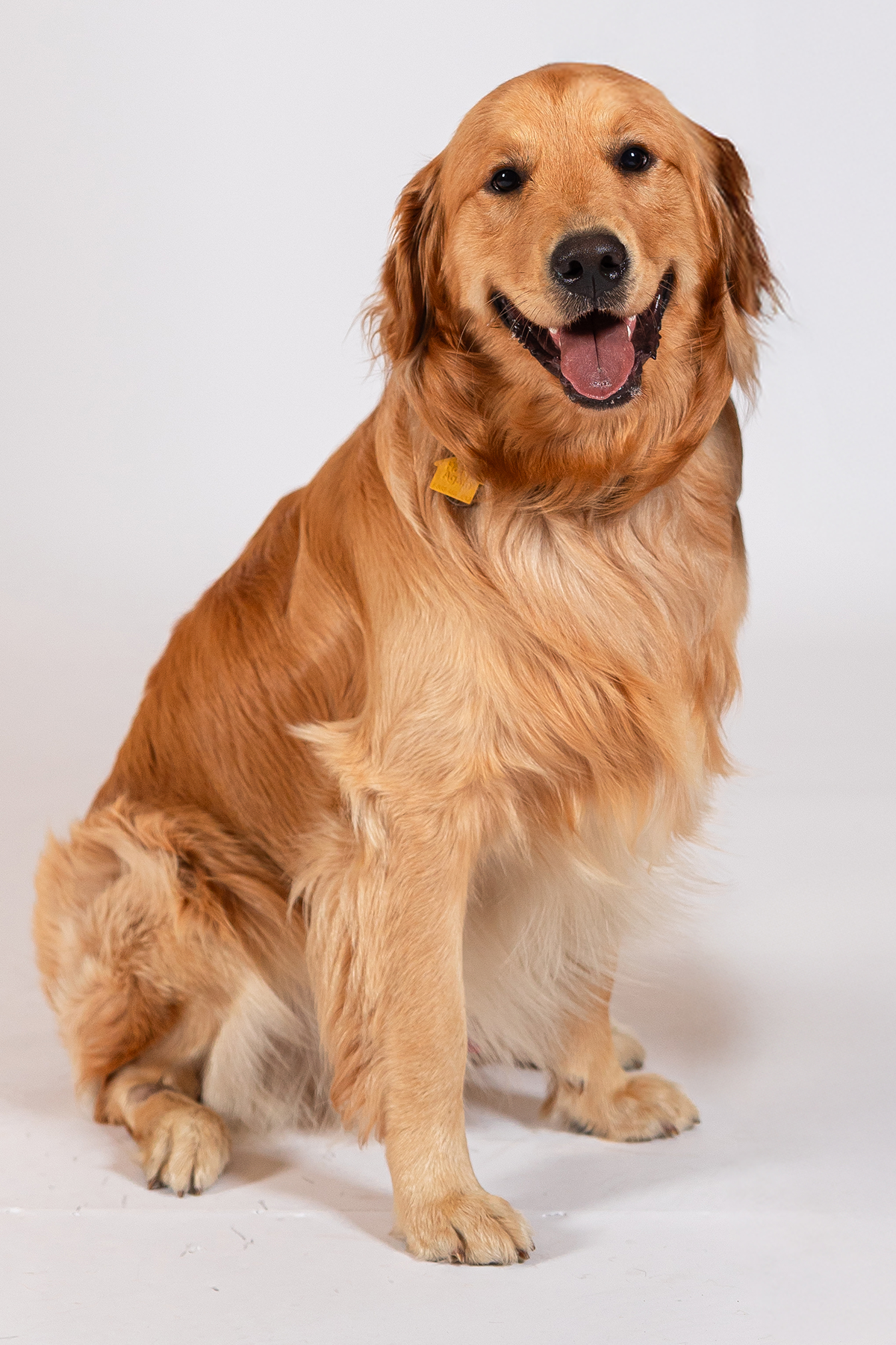 Koda Wells - Seattle University Redhawks - Official Athletics Website