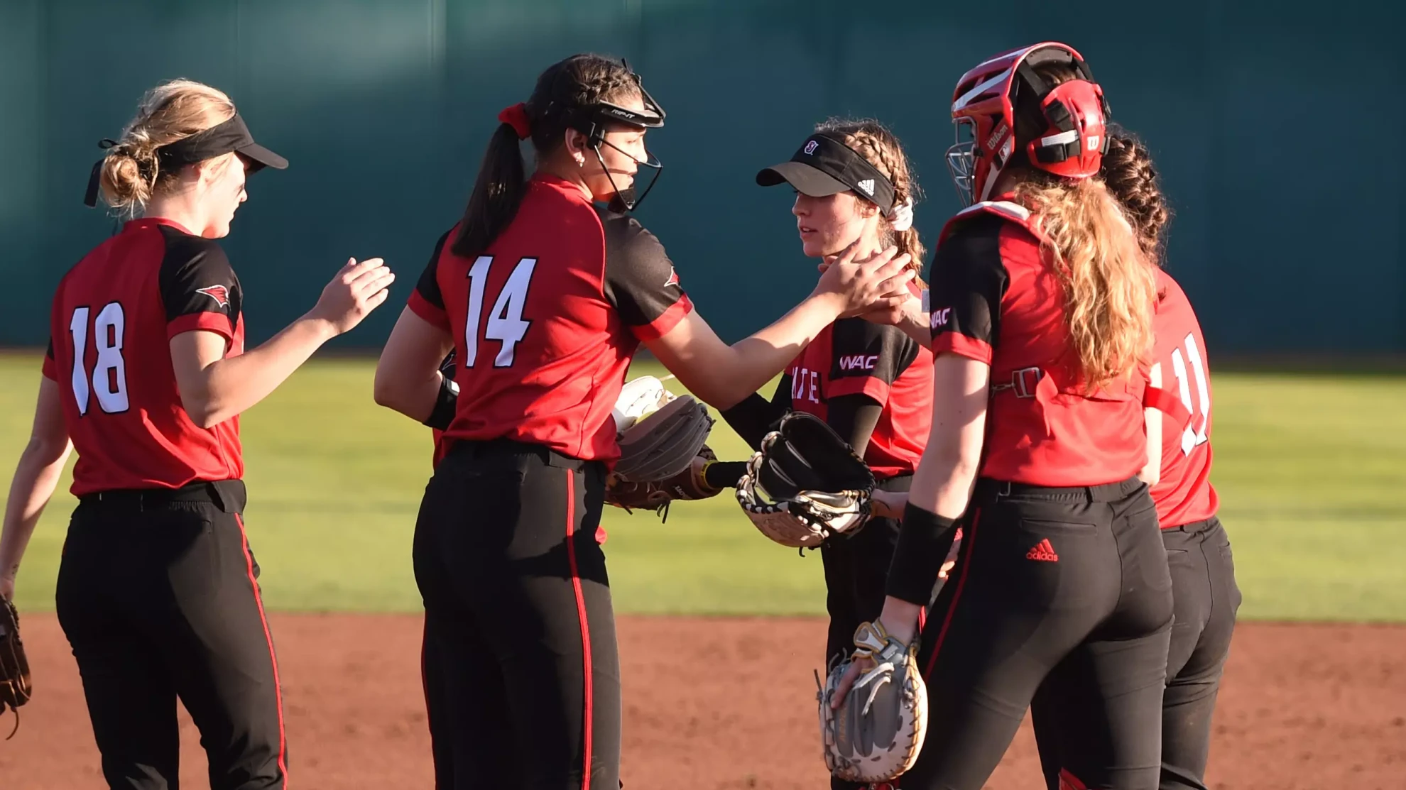 Softball Adds Wehn for 2021 - Seattle University Redhawks - Official ...