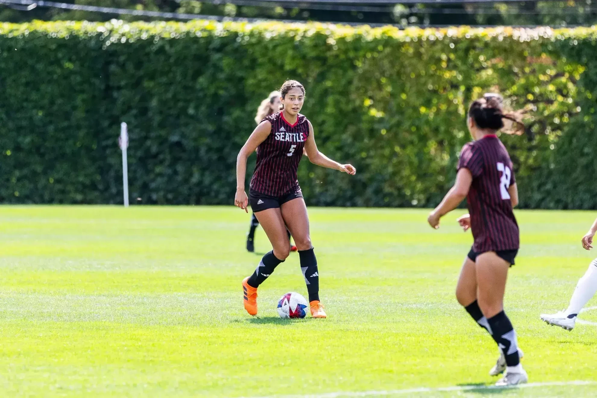 Redhawks Muzzle Bulldogs - Seattle University Redhawks - Official ...